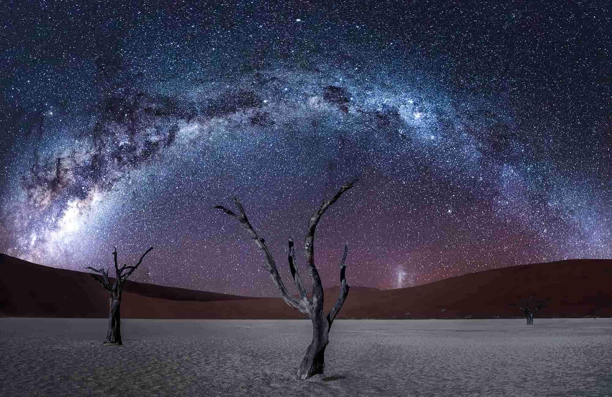 The Desert Grace